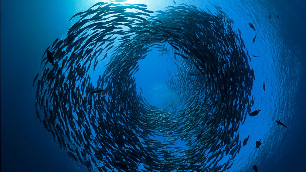 Form, structure and language - Kamikaze by Beatrice Garland - AQA ...