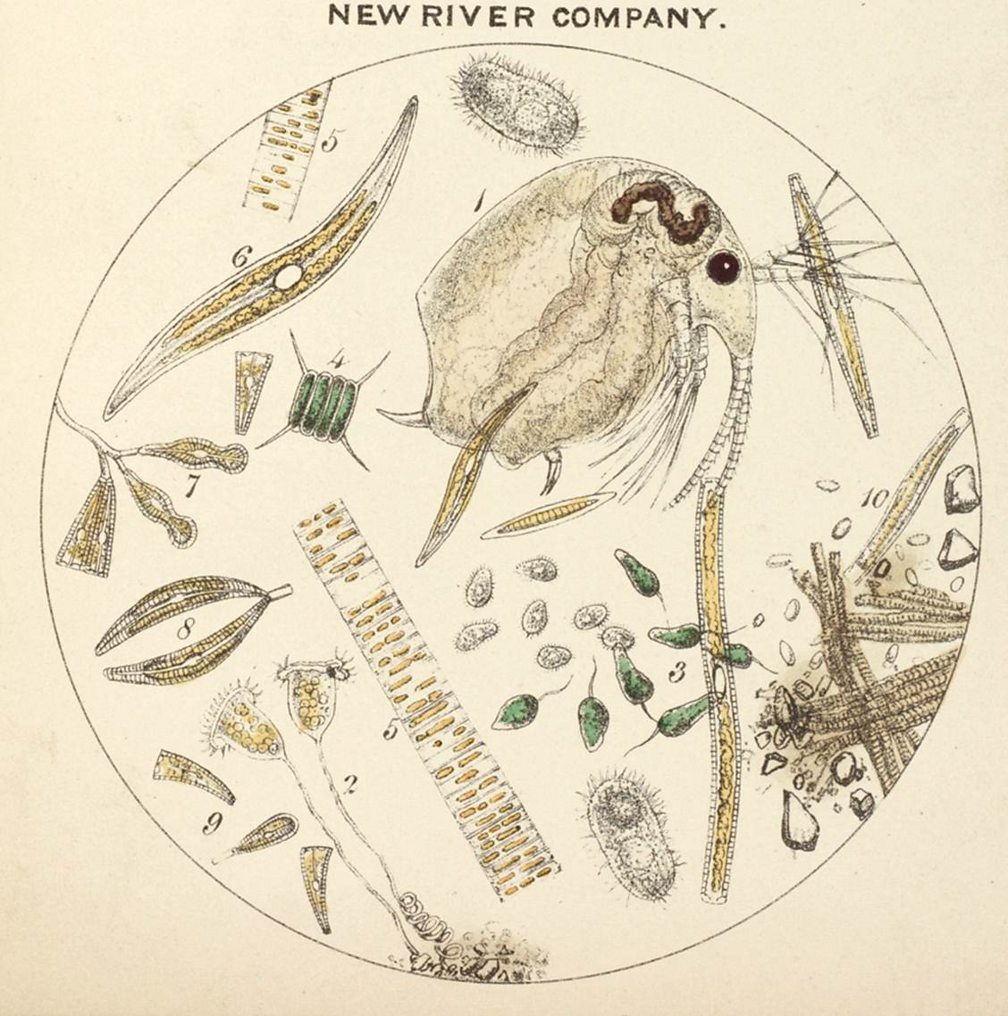 BBC Arts - Get Creative - Putting art under the microscope