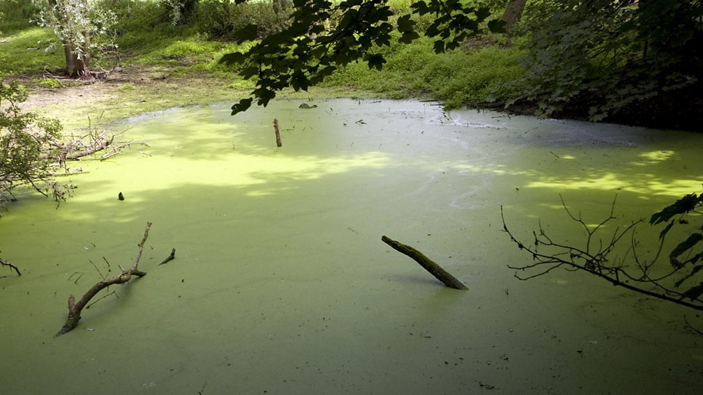 Case study - water abstraction from South Downs National Park ...