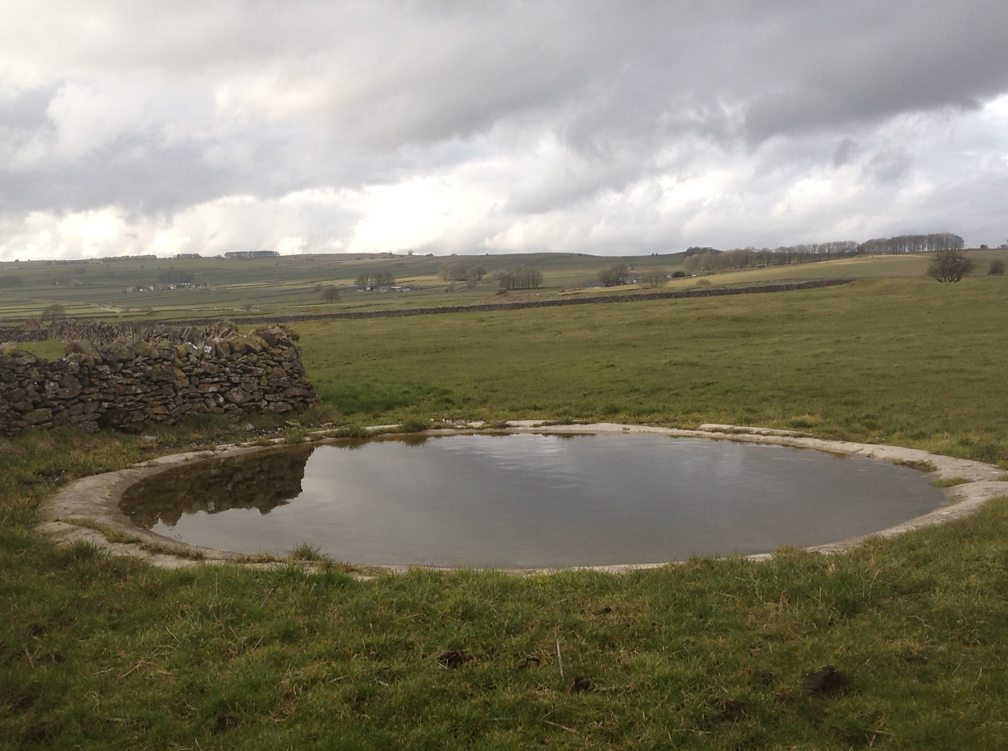 BBC Blogs - Springwatch - The Earth's eyes: Restoring the lost dew ponds