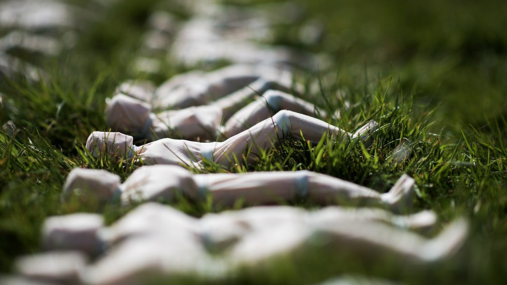 BBC Arts - BBC Arts - The Danger Tree: Interactive art to mark Somme ...