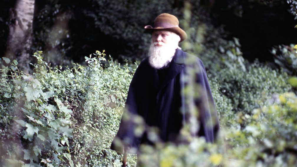 BBC - 15 excellent facts we've learned about beards