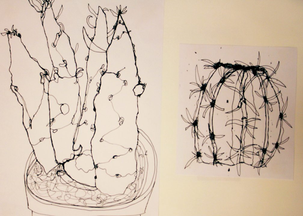 Types of analytical drawing - Analytical drawing - AQA - GCSE Art and ...