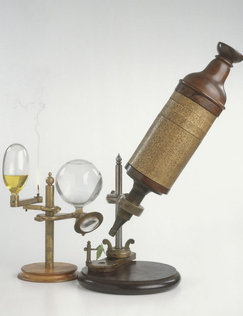 Light microscopes - Cell structure - Edexcel - GCSE Combined Science ...