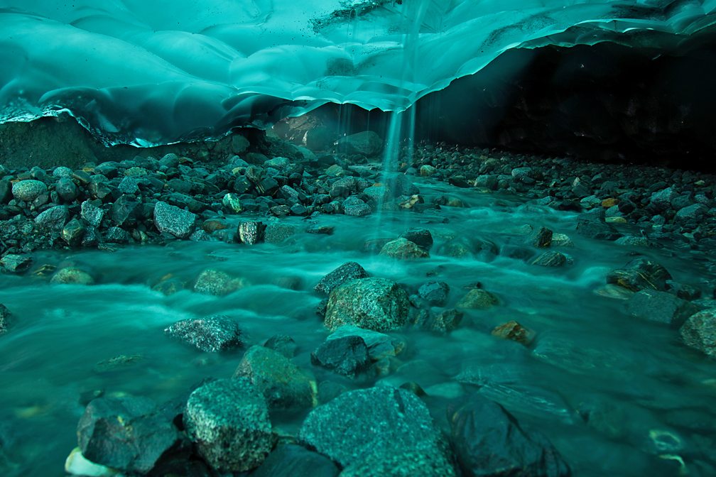 BBC One - Wild Alaska Live - More stunning images from Wild Alaska Live