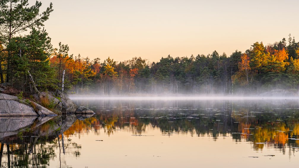BBC Radio 4 - Radio 4 in Four - Six beautiful words to describe autumn