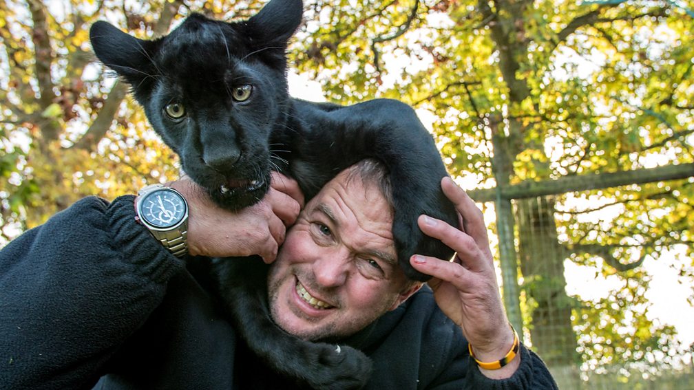 BBC Two - Big Cats about the House - Giles Clark: A personal view