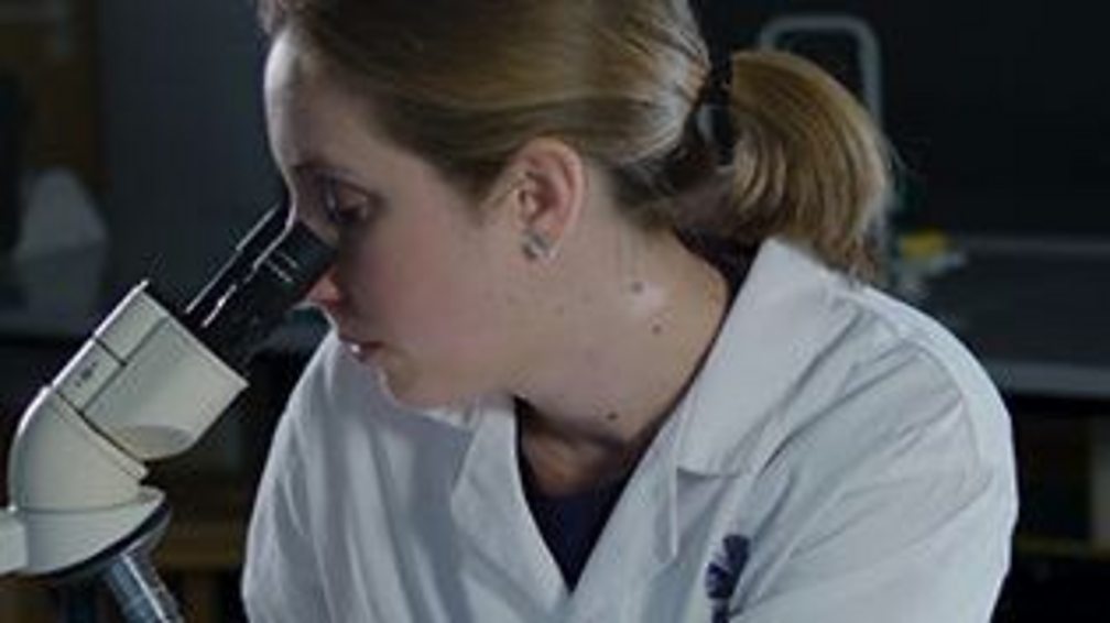 What are specialised cells? - BBC Bitesize