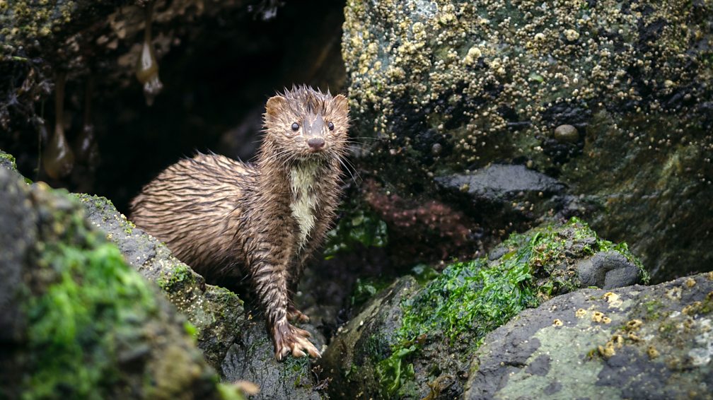 BBC Radio 4 - Radio 4 in Four - Seven of the world's most infamous ...