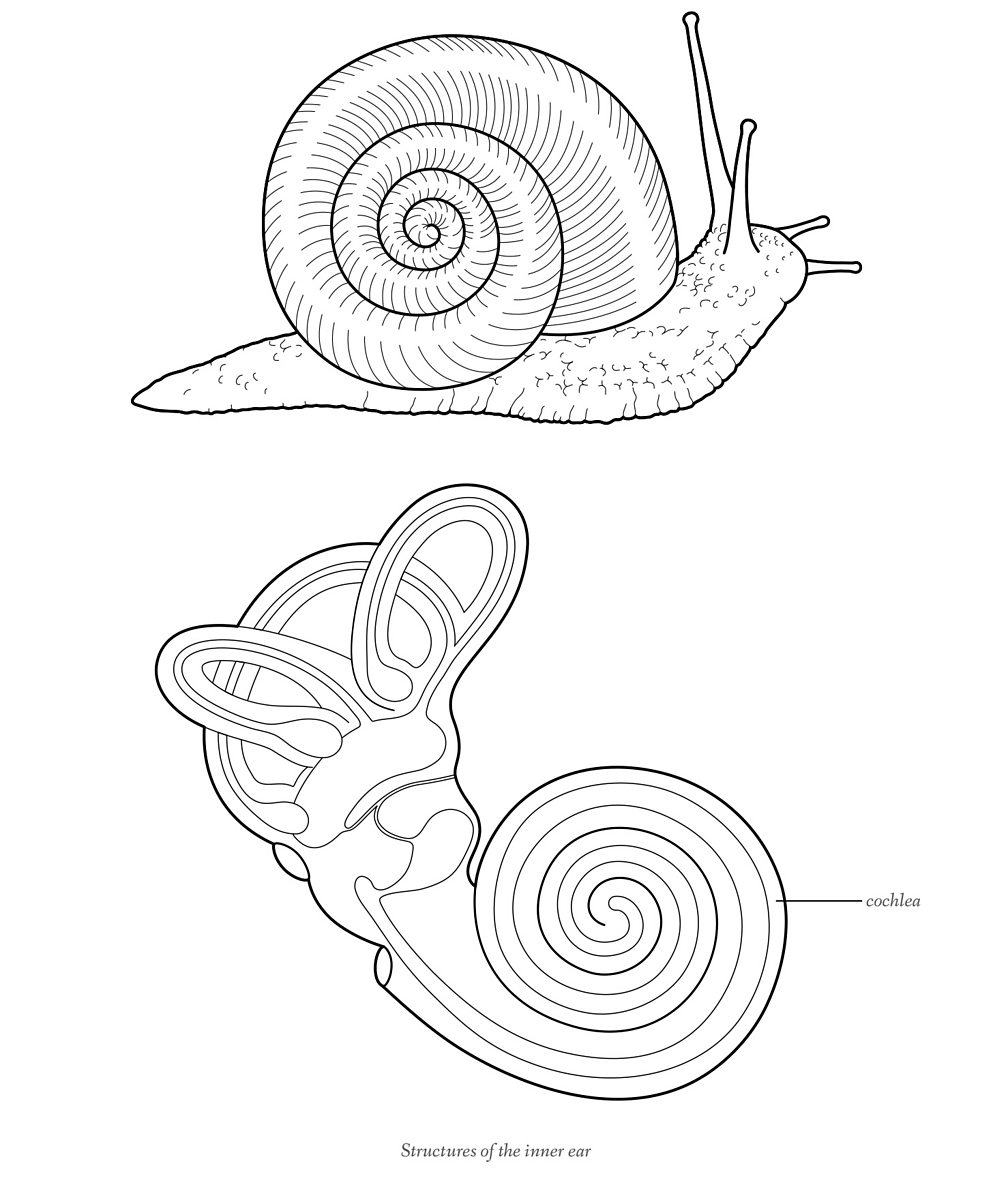 BBC Arts - Hay Festival, 2018 - Snails, swords and spiders: The odd ...
