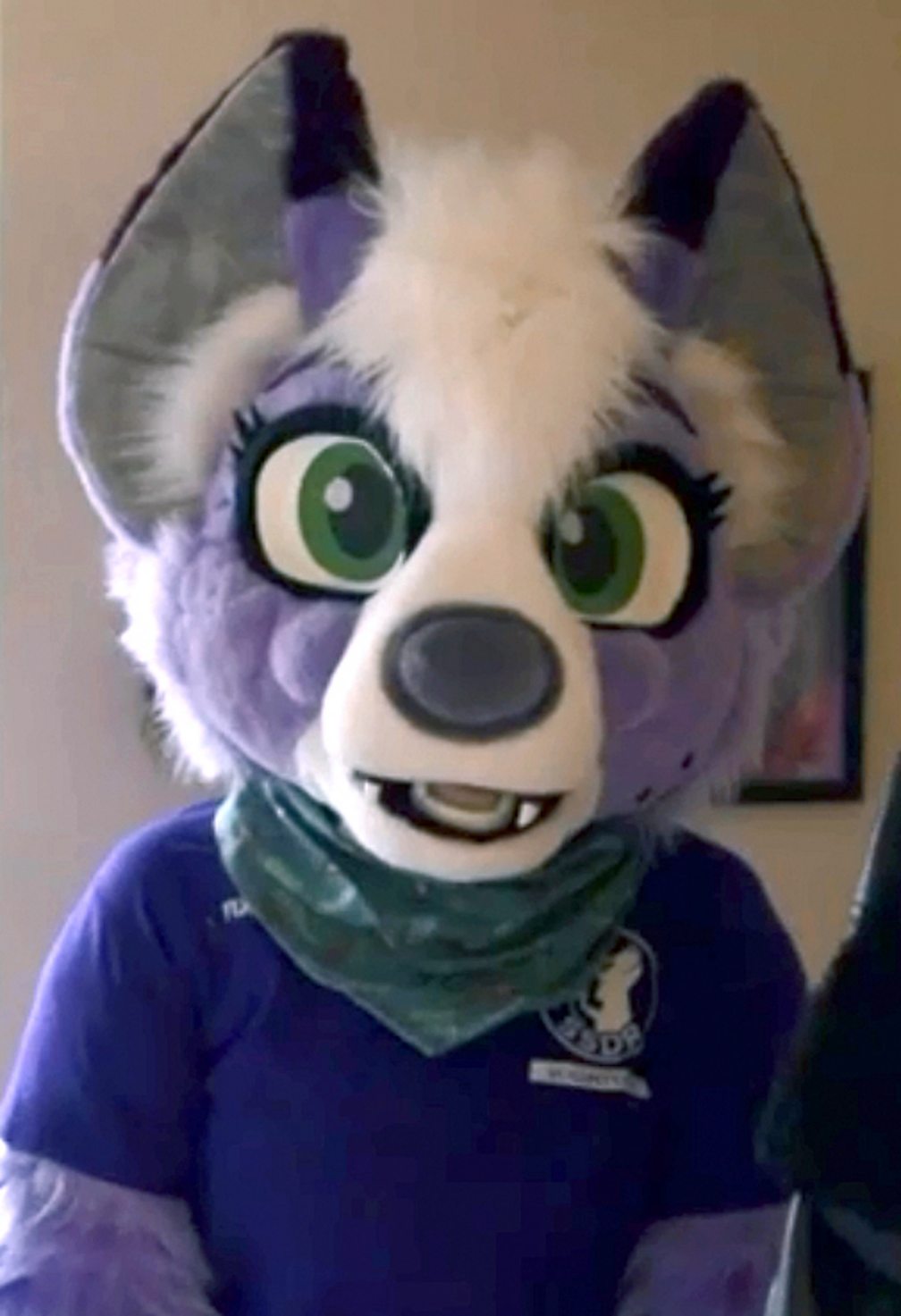 BBC Scotland - BBC Scotland - Fixy the Fox: I’m a full-time Furry