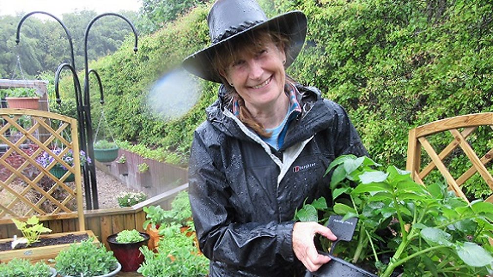 BBC Scotland - BBC Scotland - Breaking new ground: how Carole Baxter ...