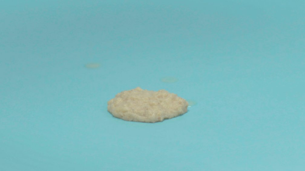 How to model digestion using tights - Nutrition, digestion and ...