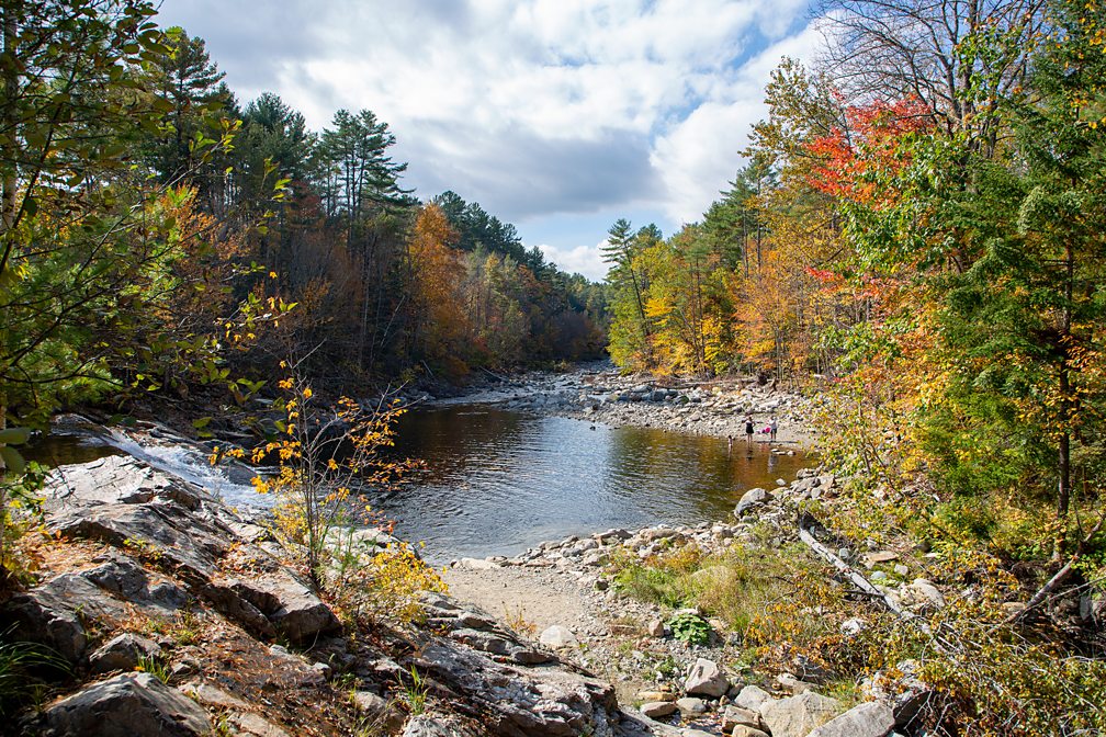 BBC Two - Autumnwatch - Seven classic New England scenes