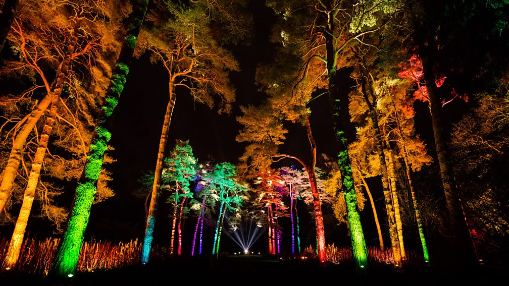 BBC Arts - BBC Arts - 15 dazzling light festivals to see across the UK ...