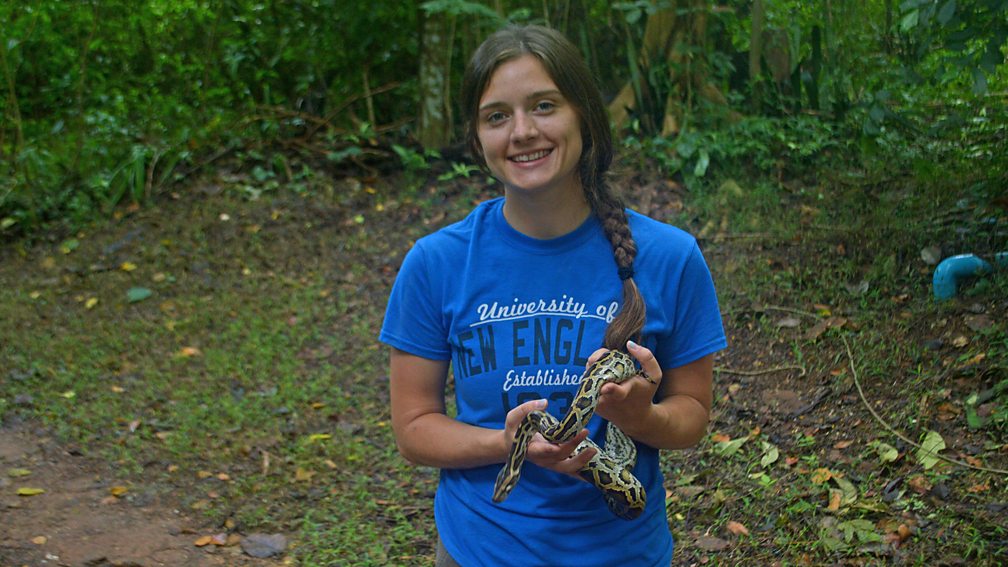 BBC Two - Cities: Nature's New Wild - Snakes in the city