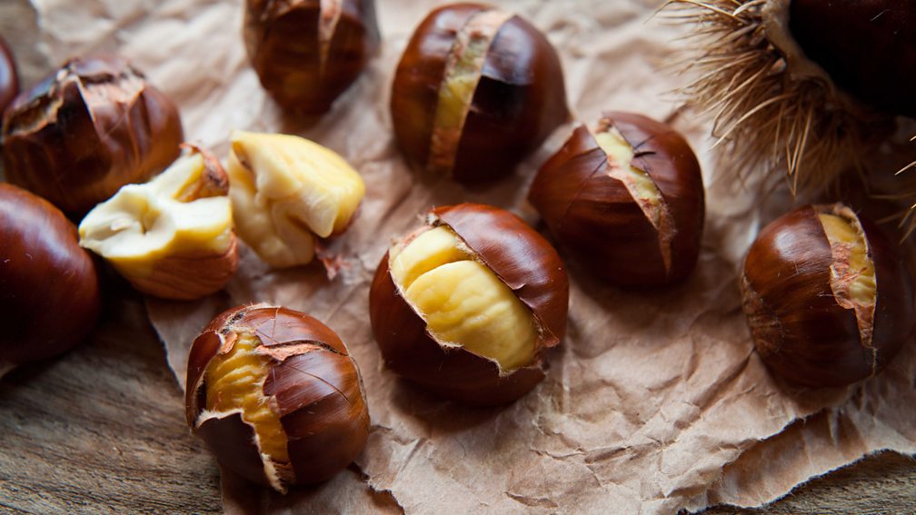 BBC Radio 4 - Radio 4 in Four - Nine bite-size facts about chestnuts