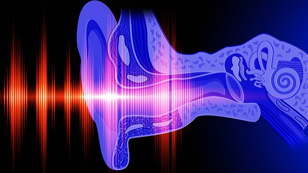 BBC Radio 4 - Auditory Illusions - Can you believe your ears?