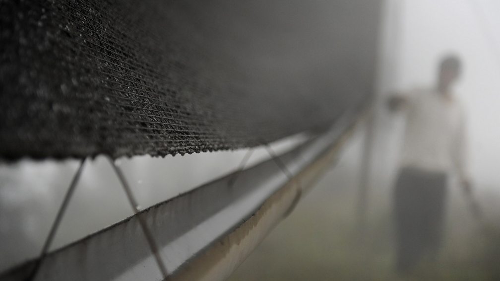 The life-changing power of fog