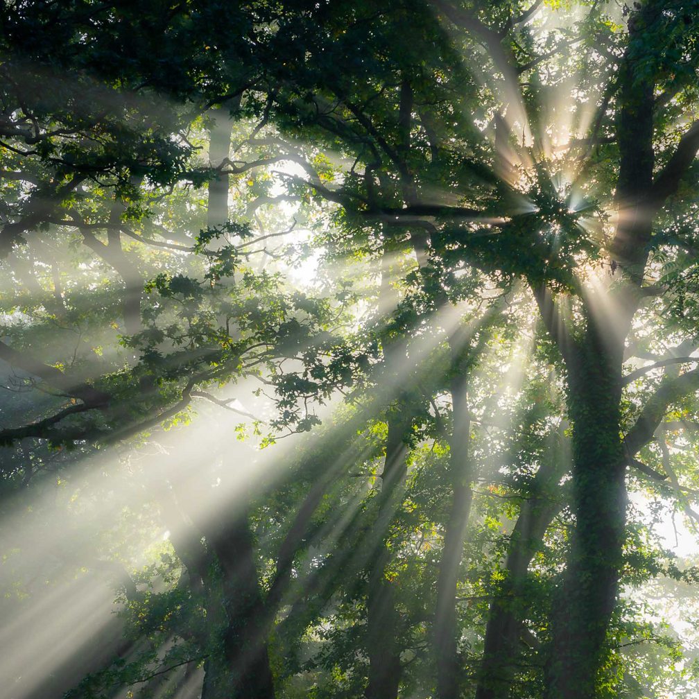 BBC Two - Springwatch - Photographer takeover: Jack Lodge