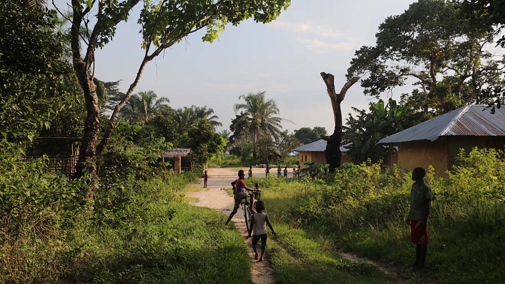 The bold plan to save the Congo Basin