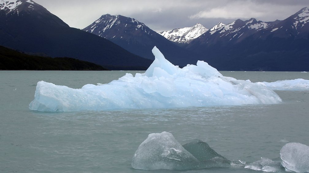 The beauty of maths: Fibonacci and the Golden Ratio - BBC Bitesize