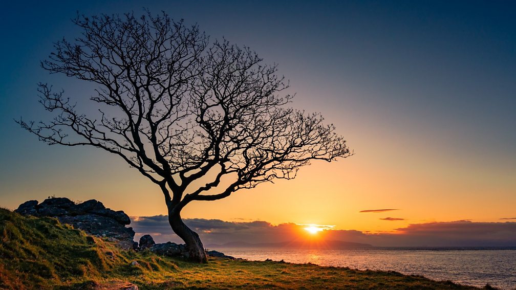 BBC - Pic of the Season Spring 2021