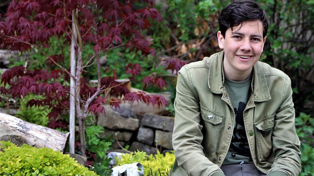 BBC Radio 2 - Radio 2's Big Bee Challenge - Designing your bee-friendly ...