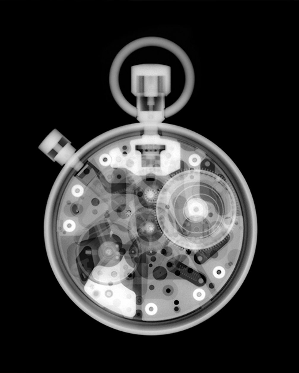 BBC Radio 4 - Seriously..., Why Time Flies (and how to slow it down ...