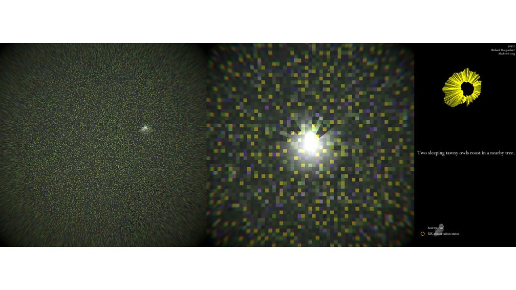 The sounds that make us calmer