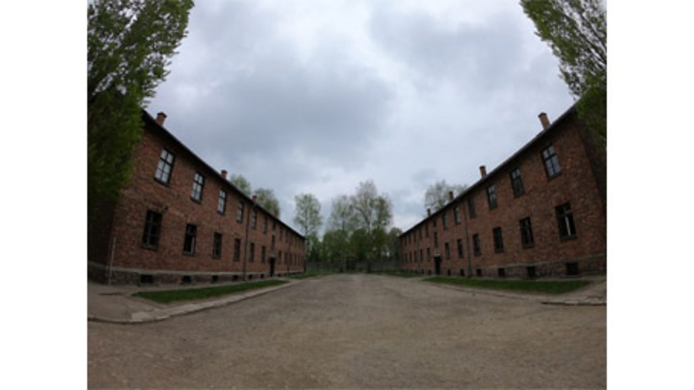 The Holocaust, 1939 - 1945 - World War Two and the Holocaust - KS3 ...