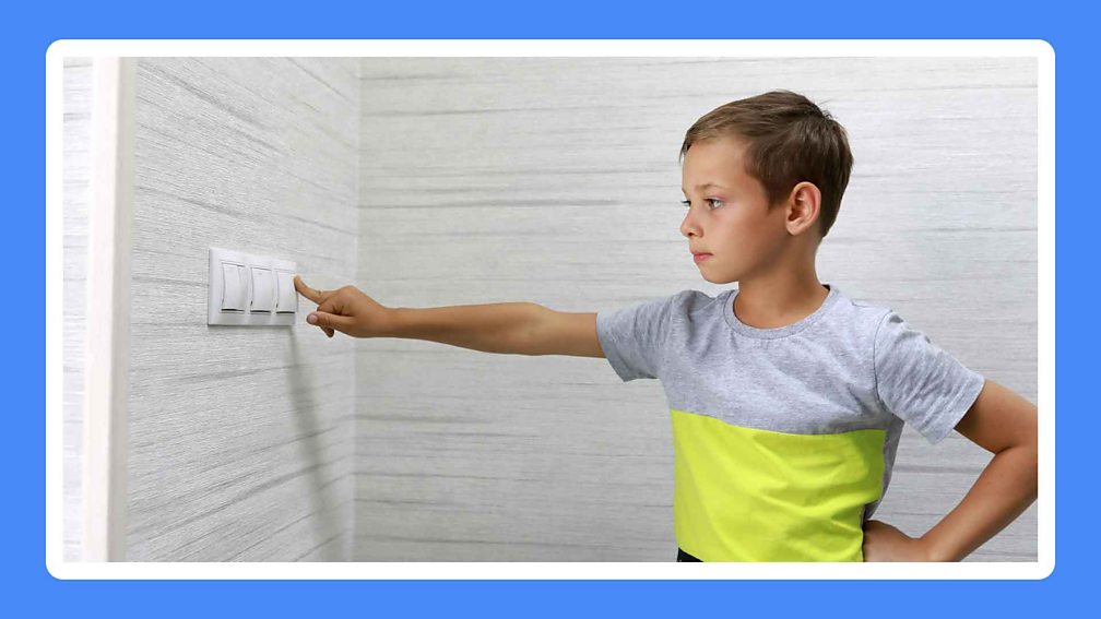 Looking after the environment | KS1 Citizenship | Primary - BBC Bitesize