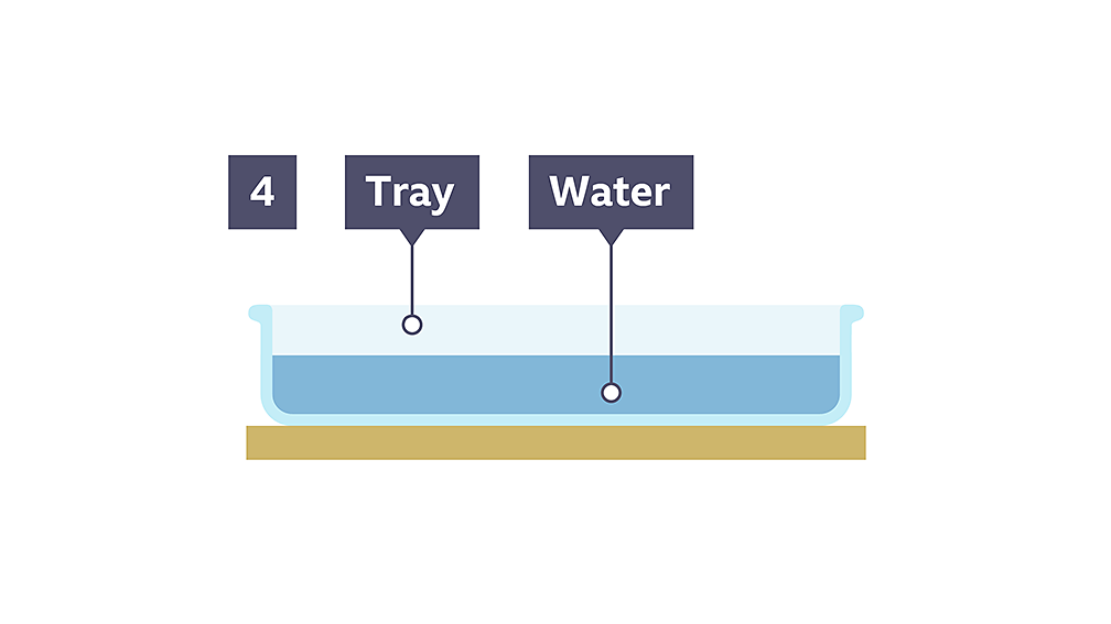 Observing waves in water guide for KS3 physics students - BBC Bitesize