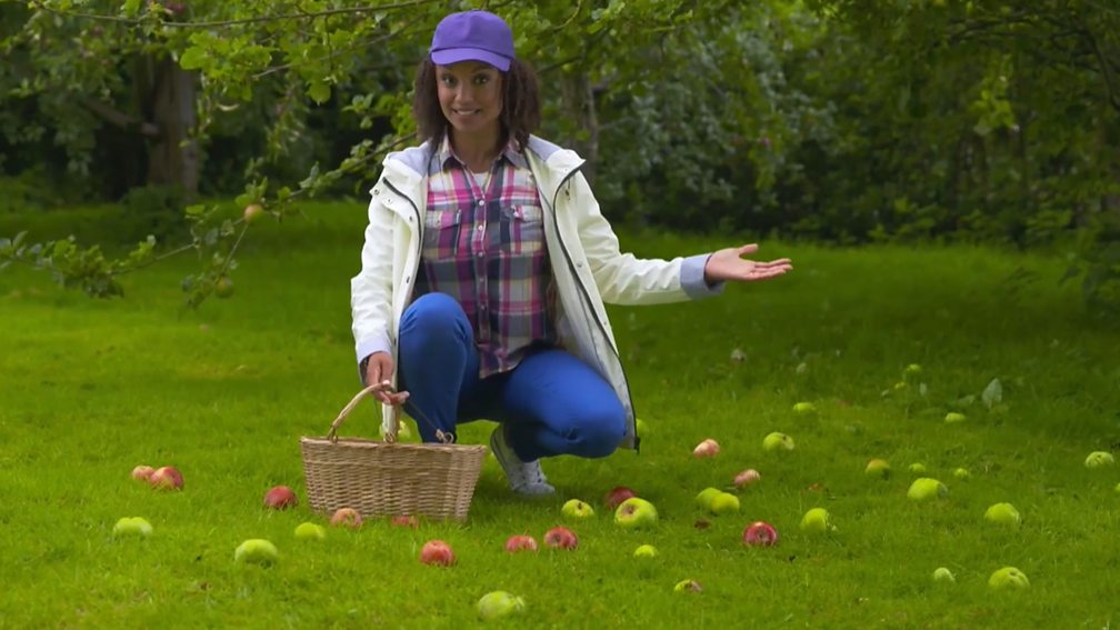 Treasure Champs - BBC Teach