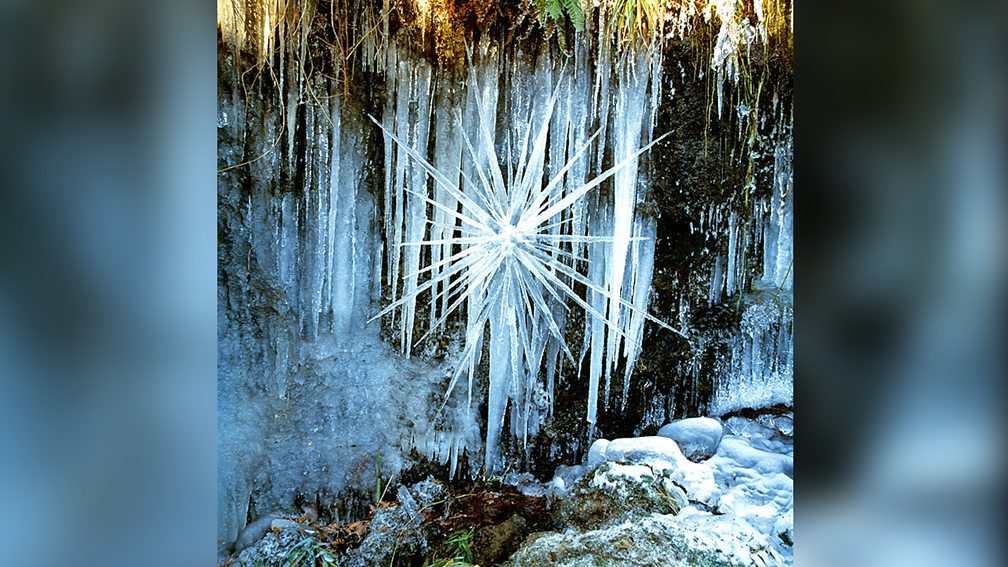 BBC Arts - BBC Arts - The artists celebrating the beauty of nature