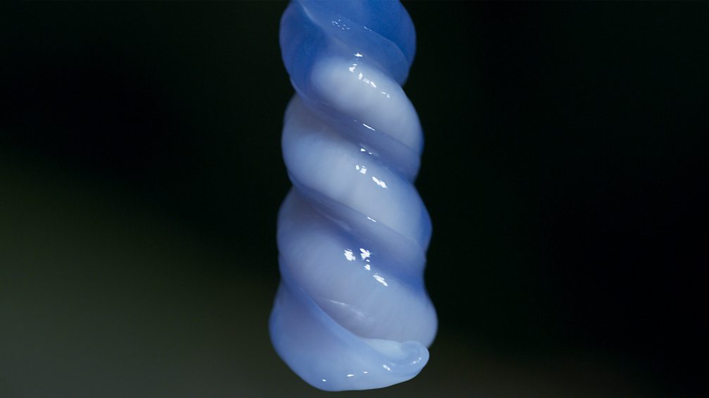 BBC One - Wild Isles - A twelve-inch slug and the weirdest mating ...