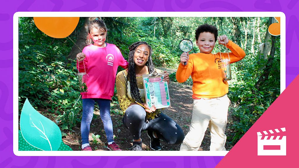 How to make a nature collage - EYFS - Reception - BBC Bitesize