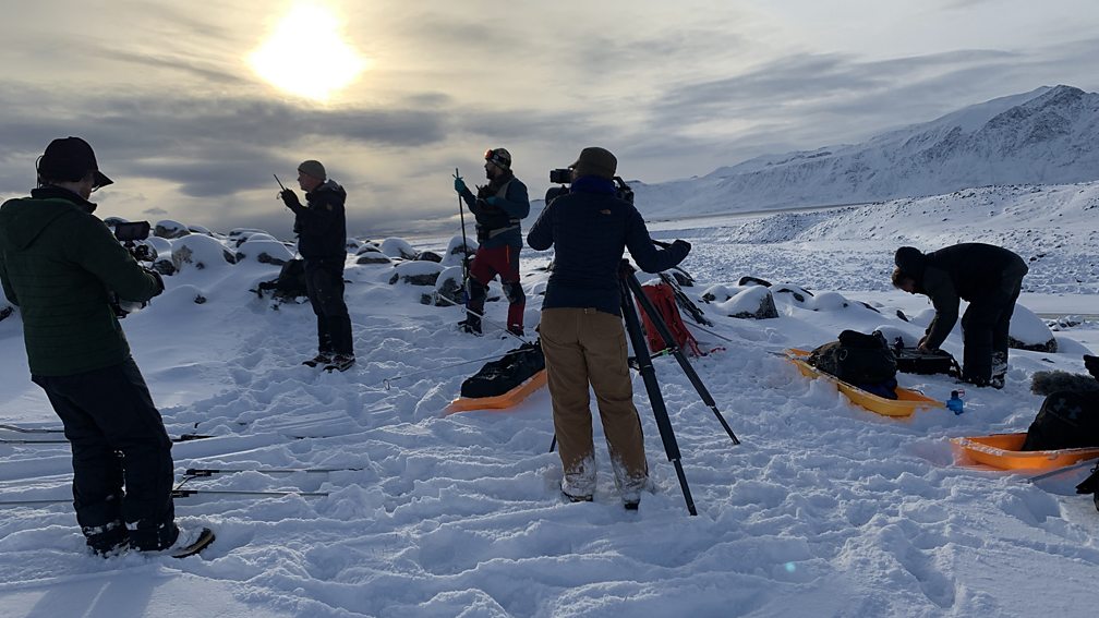 BBC One - Our Changing Planet - Filming muskoxen in Arctic Greenland ...