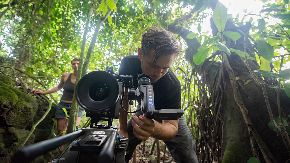 BBC One - Planet Earth III - The rock-climbing gobies of Bioko