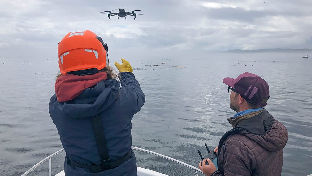 BBC One - Planet Earth III - A second chance with giants: Learning from ...