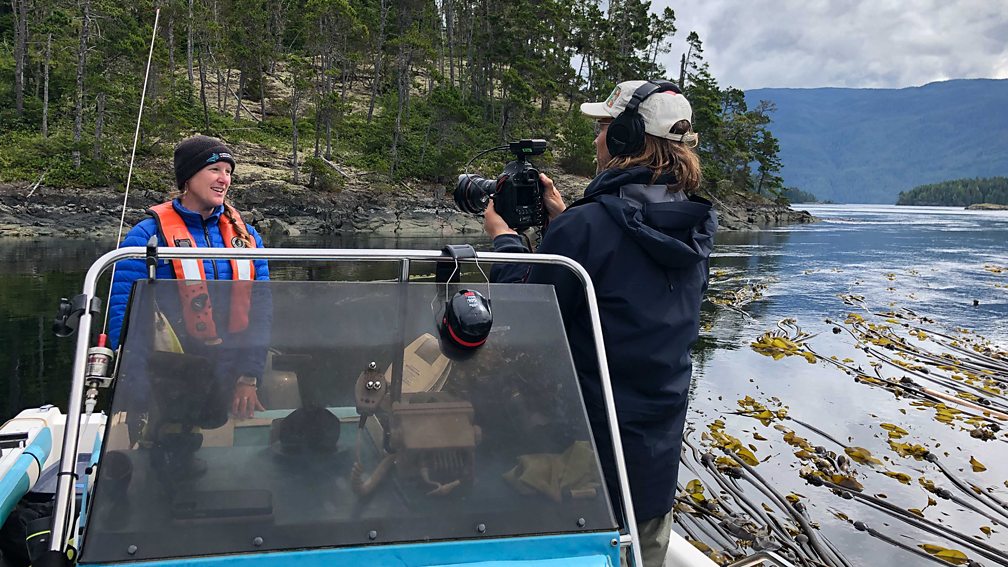 BBC One - Planet Earth III - A second chance with giants: Learning from ...