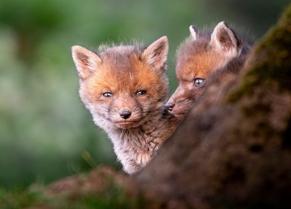 BBC One - Countryfile - The 2025 Countryfile Photographic Competition