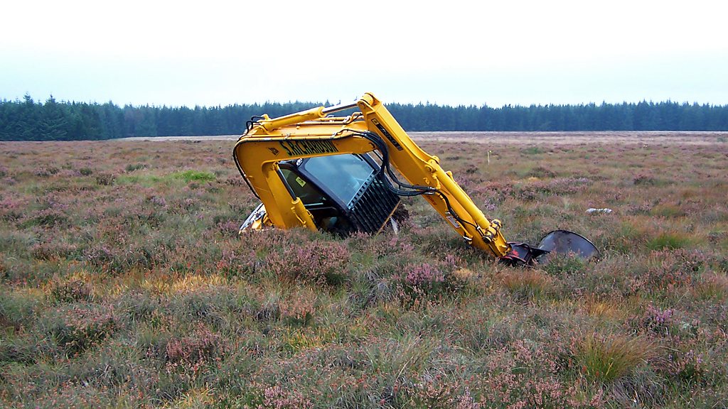 Open Country - Border Mires of Keilder - BBC Sounds