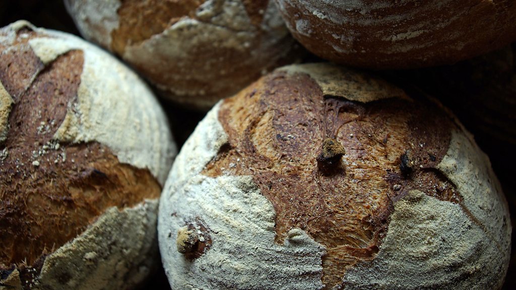 The Food Programme - Bread Skills - BBC Sounds