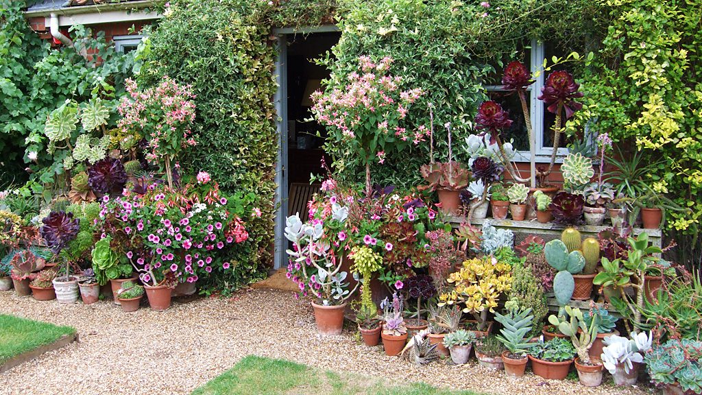 Gardeners' Question Time - 13/08/2010 - BBC Sounds