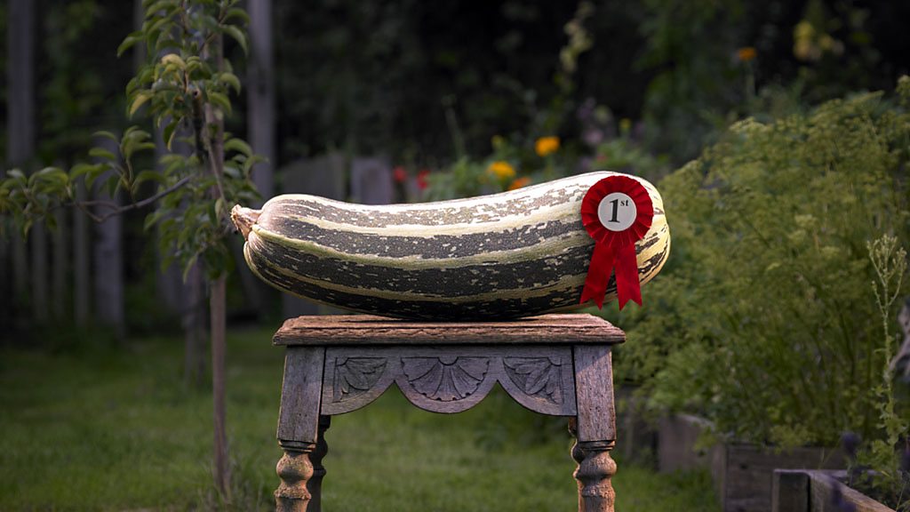 The Food Programme - Food Festivals - BBC Sounds