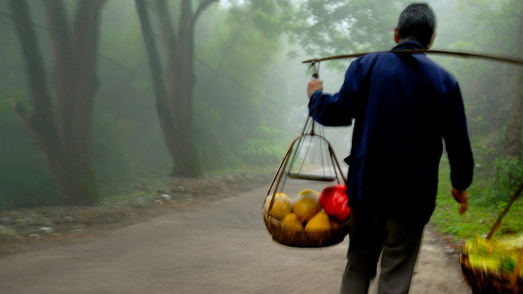 The Food Programme - The Food We Eat - BBC Sounds