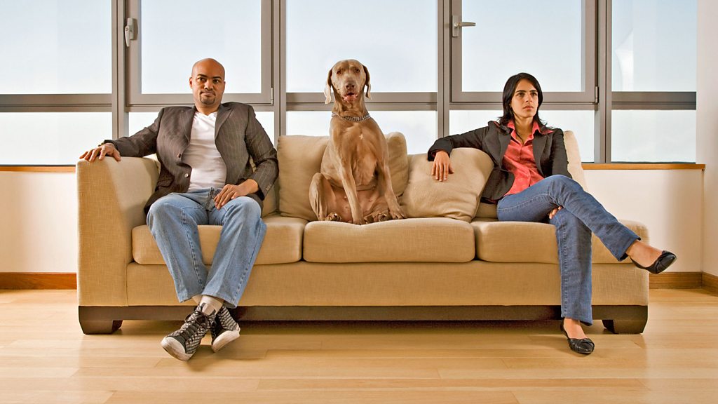 You and Yours - Pet Pre-Nups; Customer Complaints; Private Tuition ...