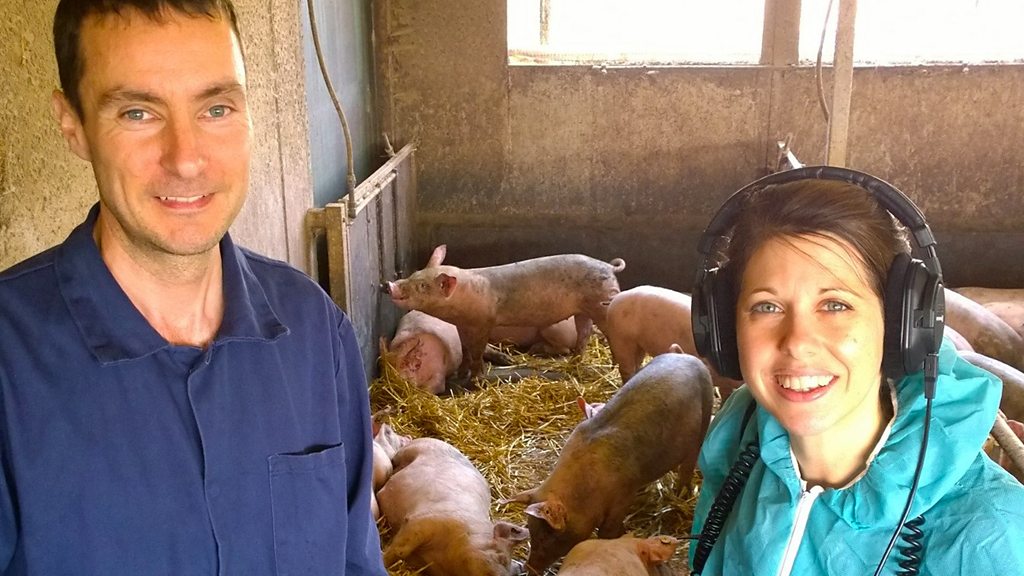 On Your Farm - Animal Behaviour - BBC Sounds