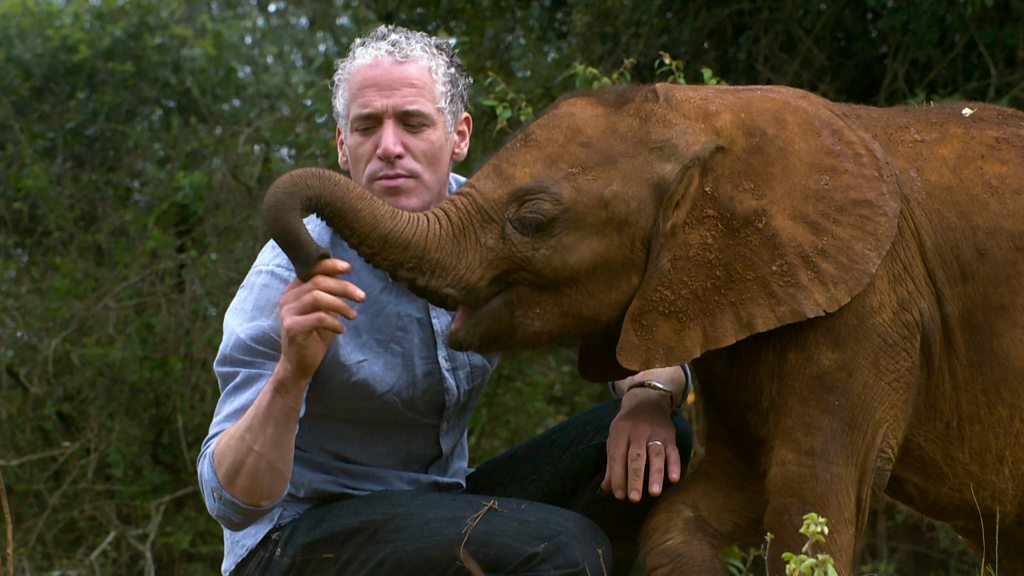 BBC One - Super Cute Animals, A very unusual nose